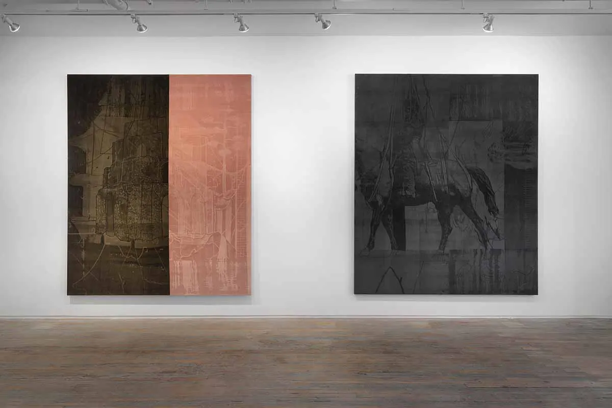 Amanita: the contemporary art gallery velvety hits New York