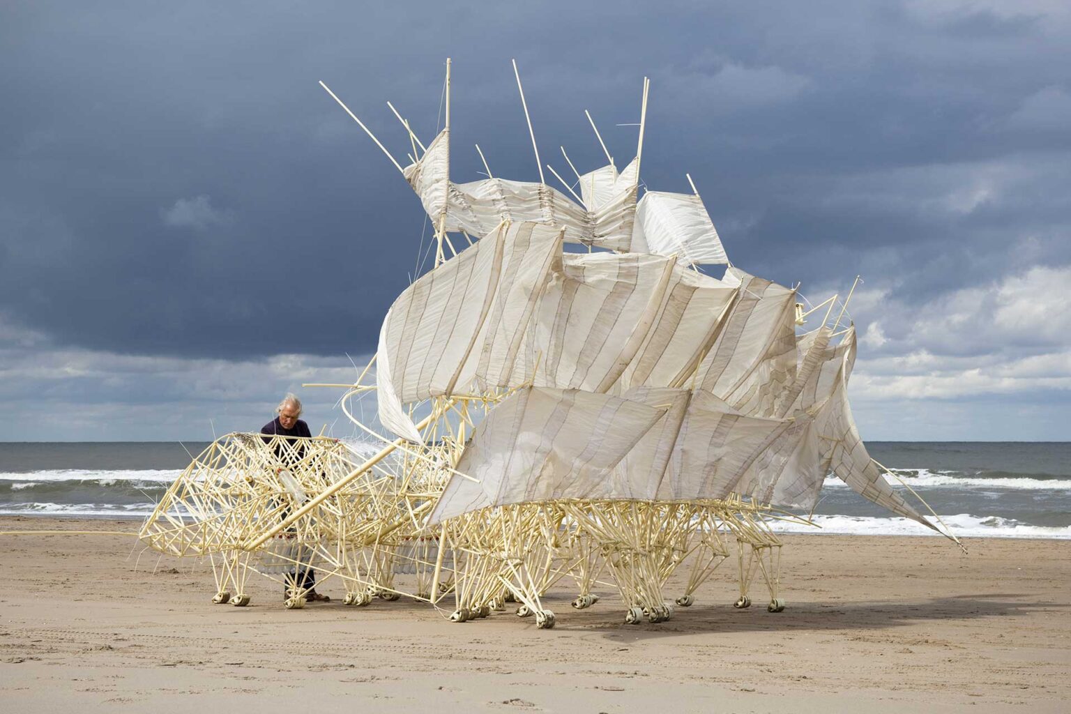 Theo Jansen – Breaking the wall between art and engineering